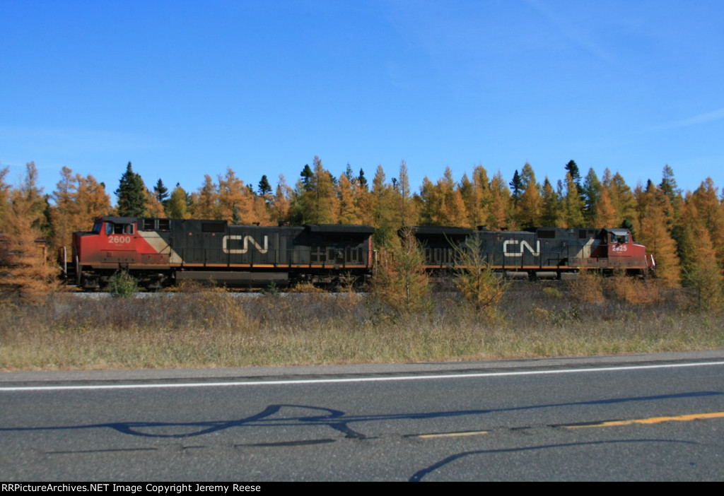 CN 2625 passing fall colors south of Little Lake, MI